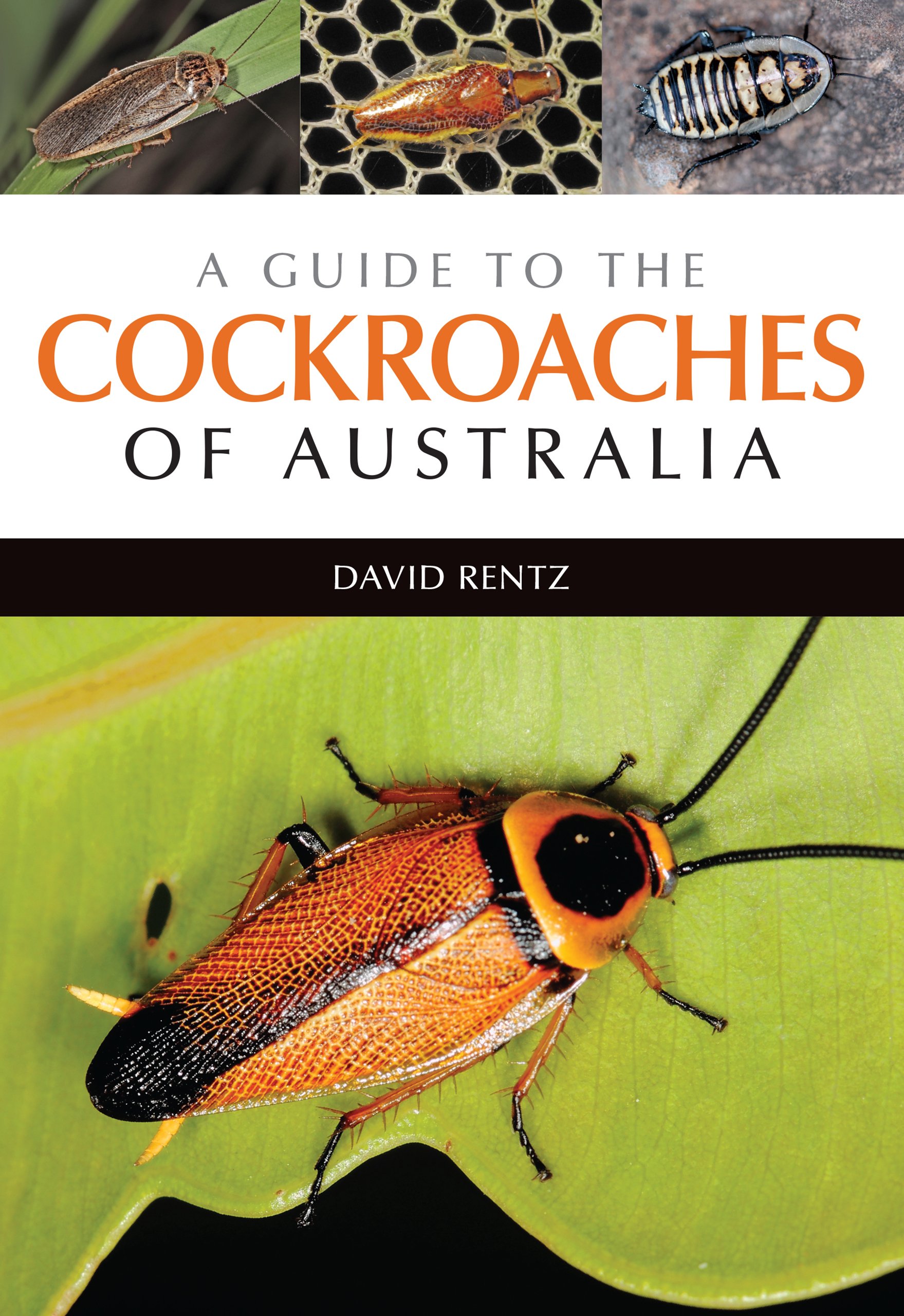 A Guide to the Cockroaches of Australia – PDF/EPUB Version Downloadable ...