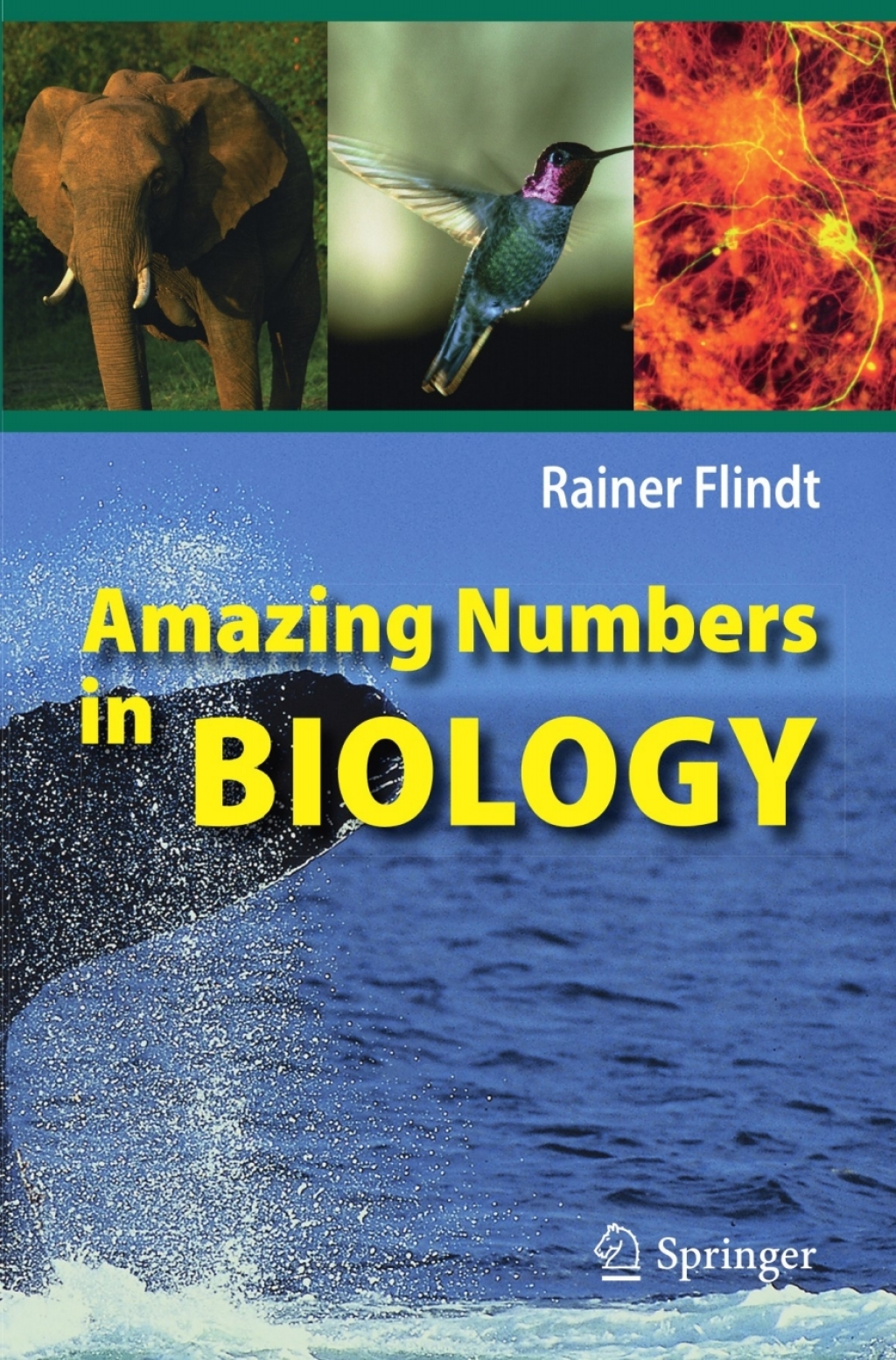 Amazing Numbers in Biology â€“ PDF/EPUB Version Downloadable ...