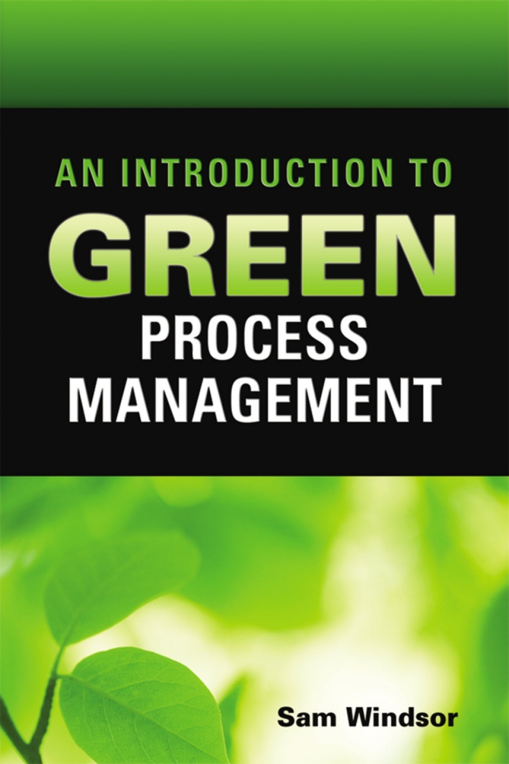 An Introduction to Green Process Management â€“ PDF/EPUB Version ...