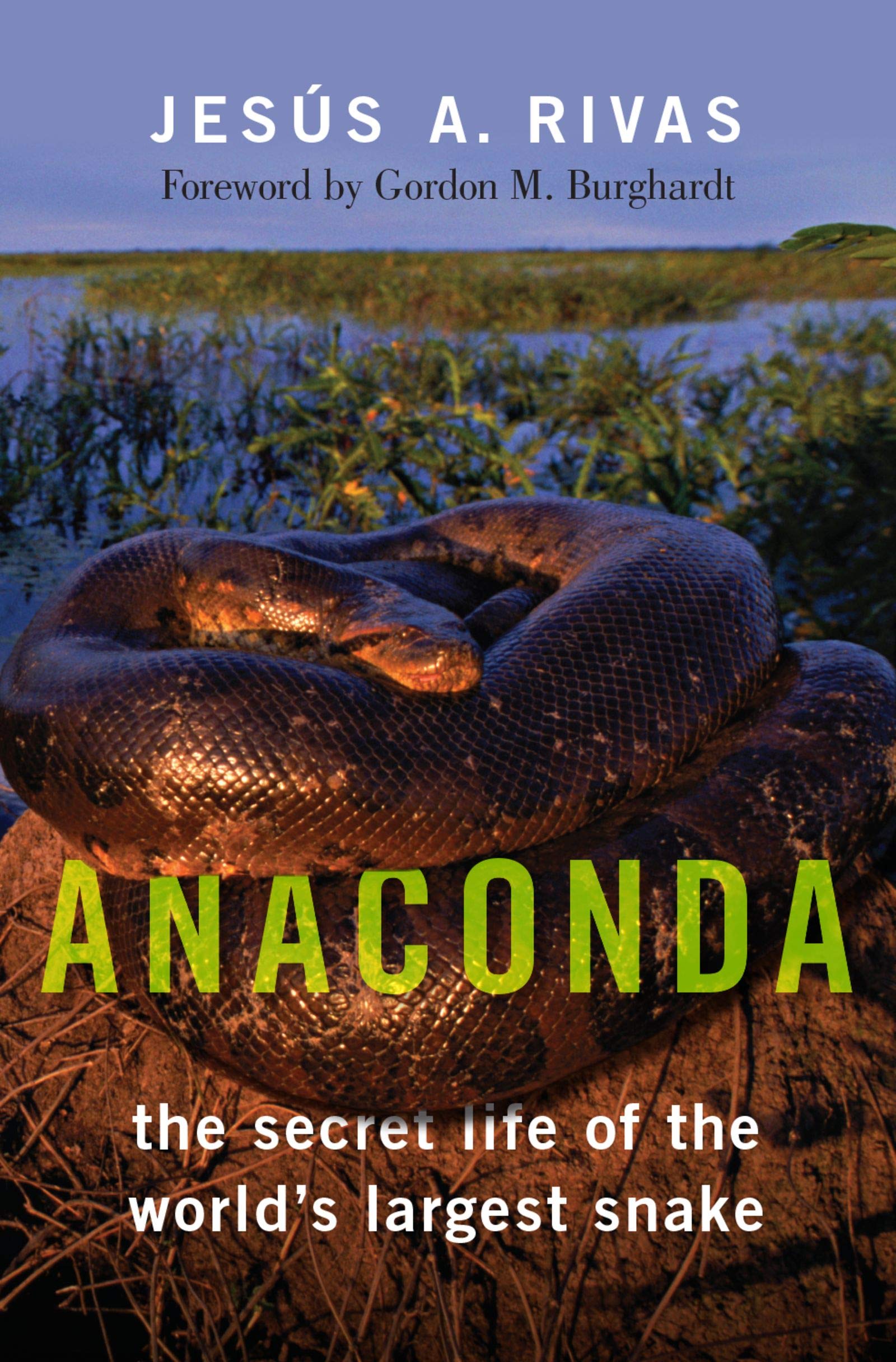 Anaconda: The Secret Life of the World’s Largest Snake – PDF/EPUB ...