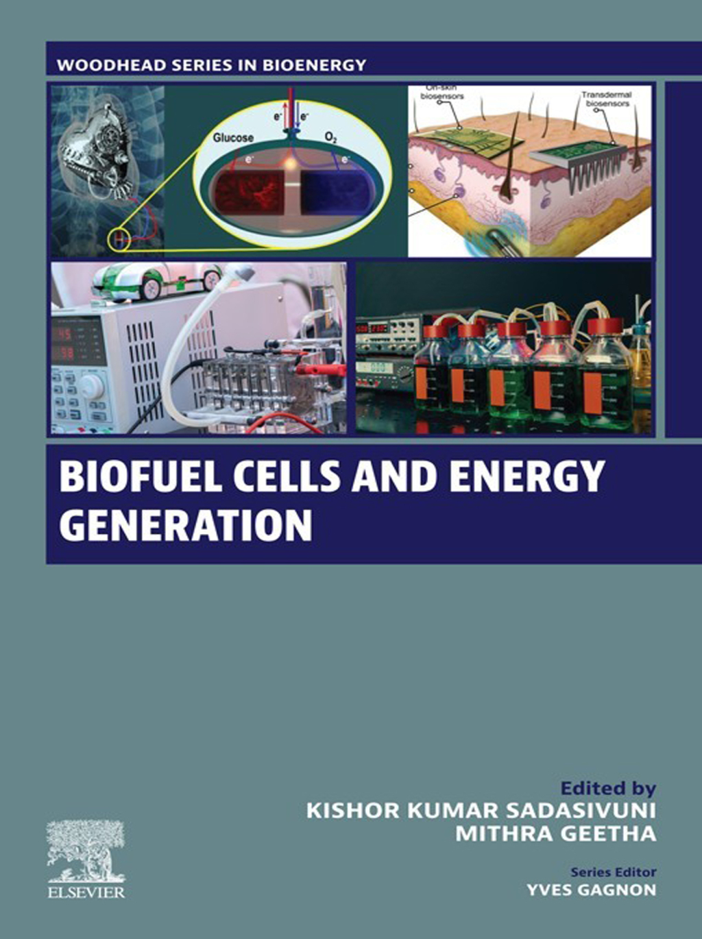 Biofuel Cells and Energy Generation â€“ PDF/EPUB Version Downloadable ...