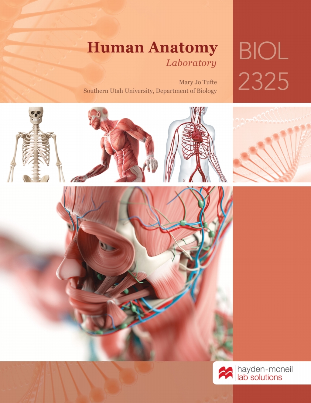 BIOL 2325: Human Anatomy Laboratory Manual – Southern Utah University ...
