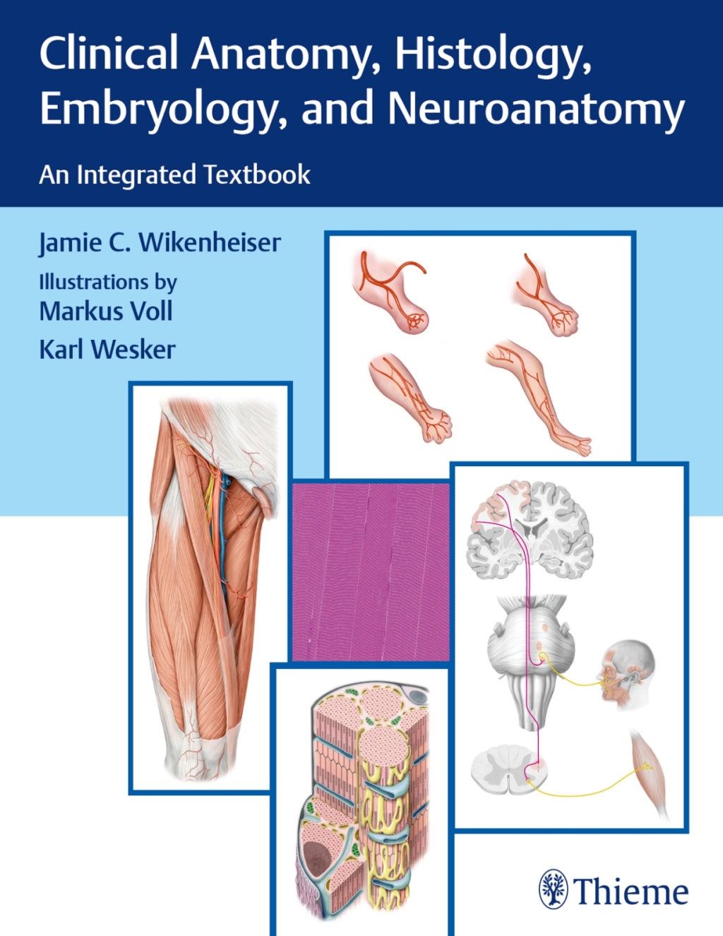 Clinical Anatomy, Histology, Embryology, and Neuroanatomy An Integrated ...
