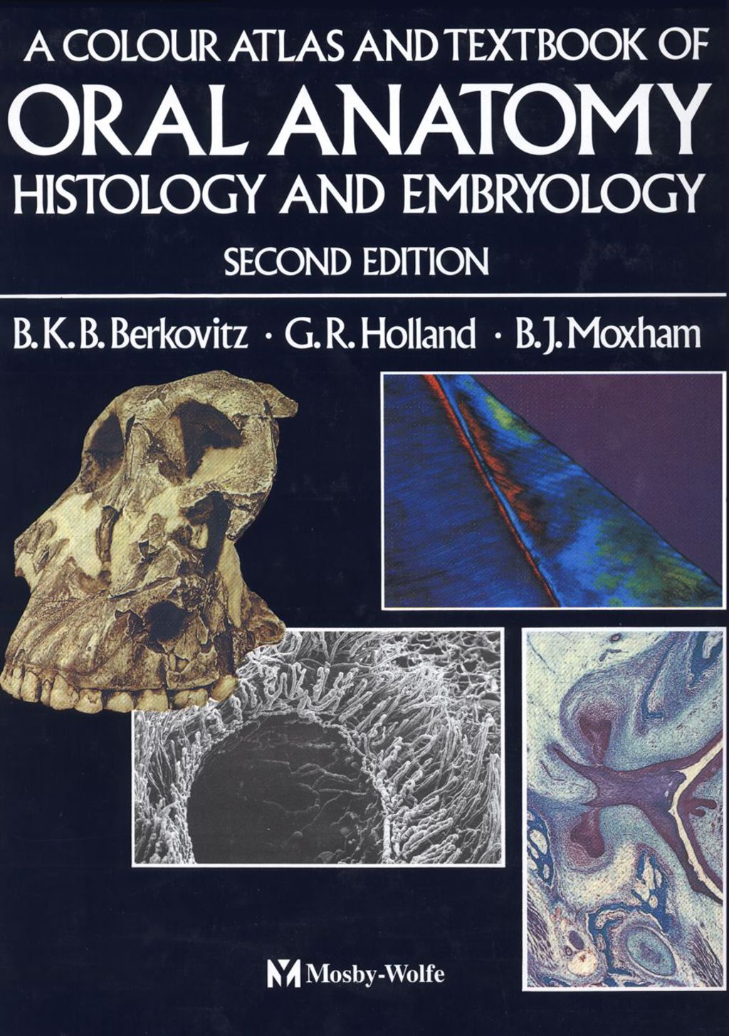 Color Atlas and Textbook of Oral Anatomy, Histology and Embryology 2nd ...