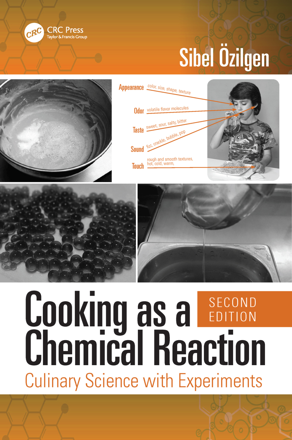 Cooking as a Chemical Reaction Culinary Science with Experiments 2nd ...