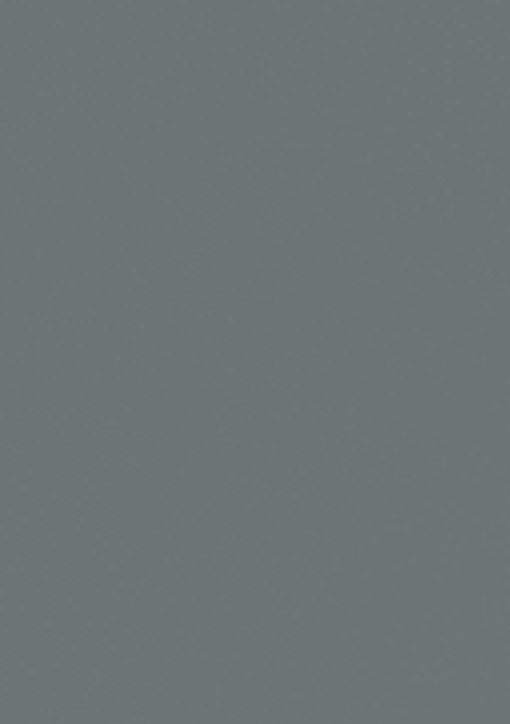 Directional Solidification of Steel Castings â€“ PDF/EPUB Version ...