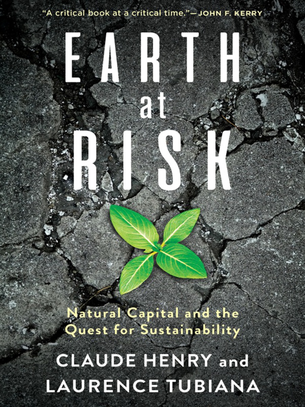 Earth at Risk Natural Capital and the Quest for Sustainability â€“ PDF ...