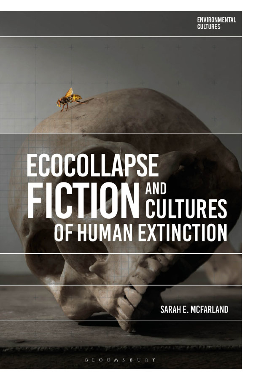 Ecocollapse Fiction and Cultures of Human Extinction 1st Edition â ...