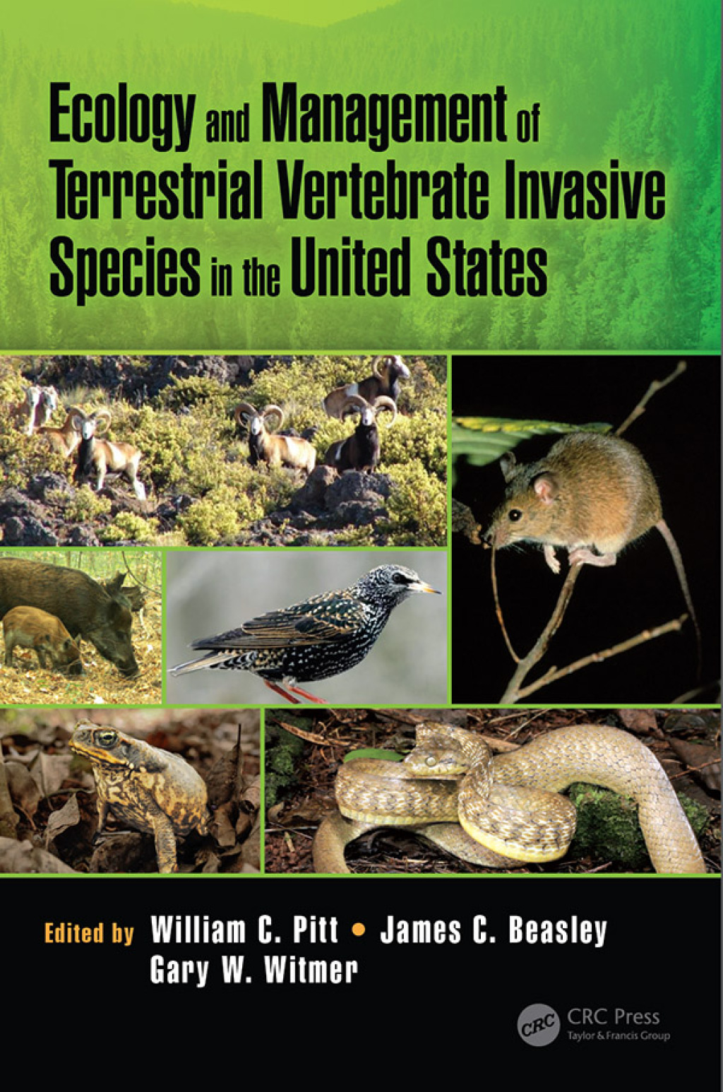 Ecology and Management of Terrestrial Vertebrate Invasive Species in ...