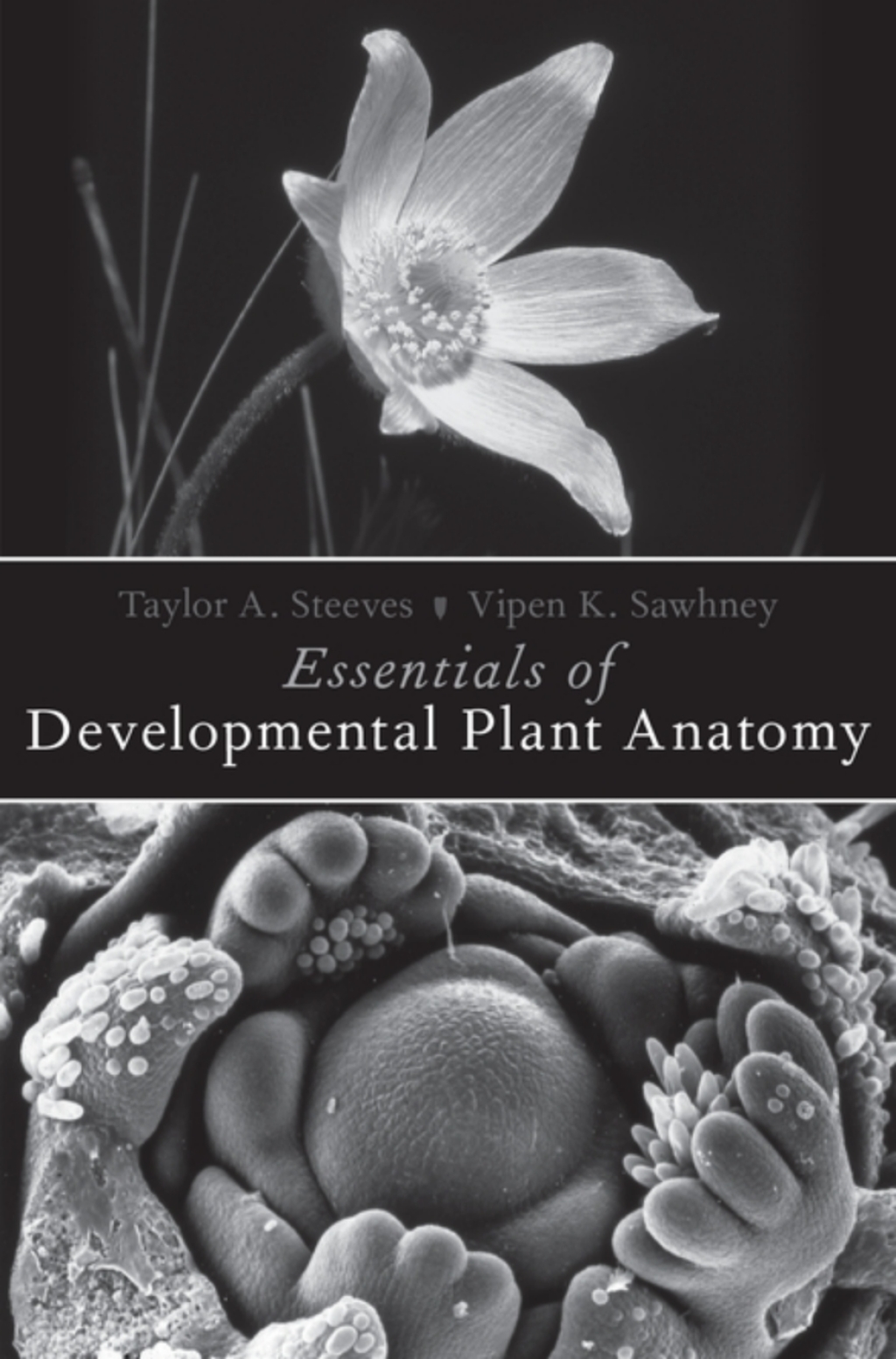 Essentials of Developmental Plant Anatomy â€“ PDF/EPUB Version ...