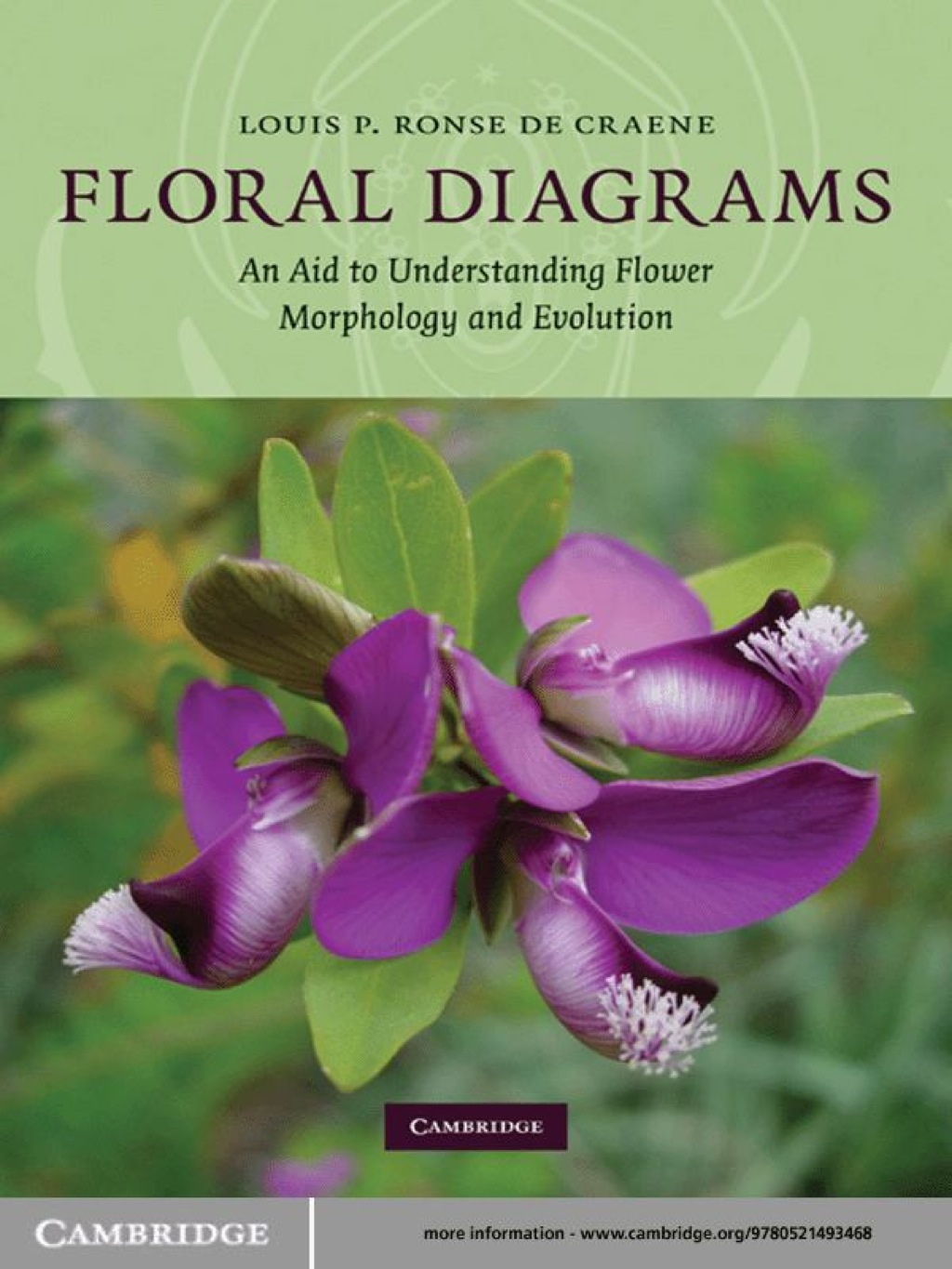Floral Diagrams An Aid to Understanding Flower Morphology and Evolution ...