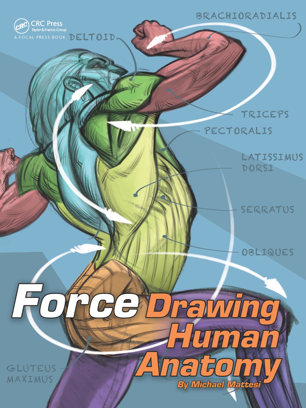 FORCE: Drawing Human Anatomy 1st Edition â€“ PDF/EPUB Version ...