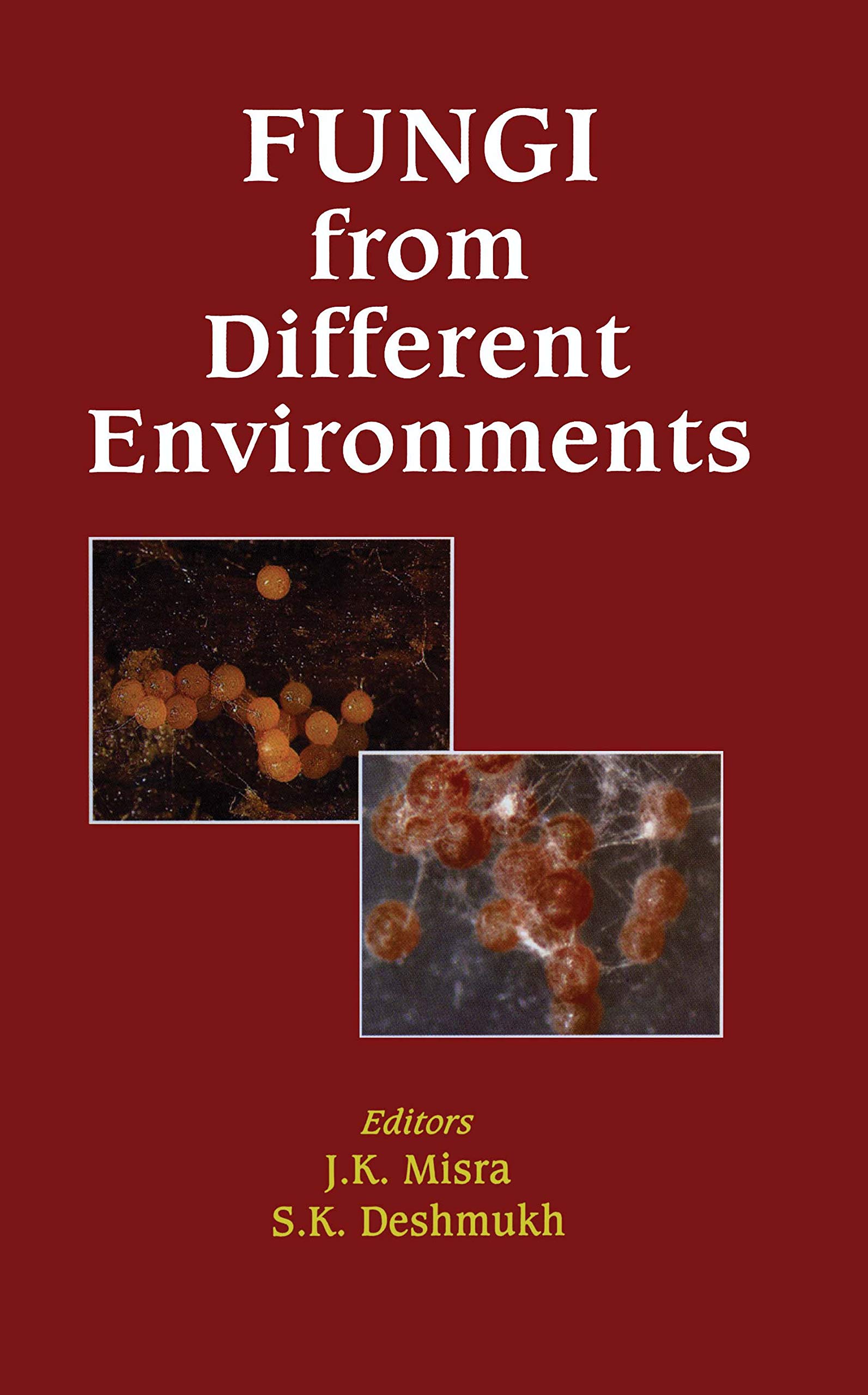 Fungi from Different Environments (Progress in Mycological Research ...