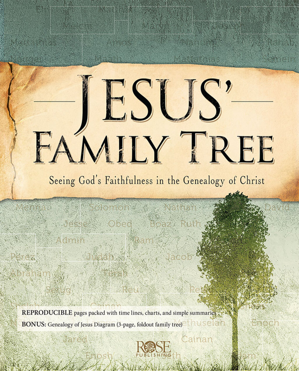 Jesus’ Family Tree Seeing God’s Faithfulness through the Genealogy of ...