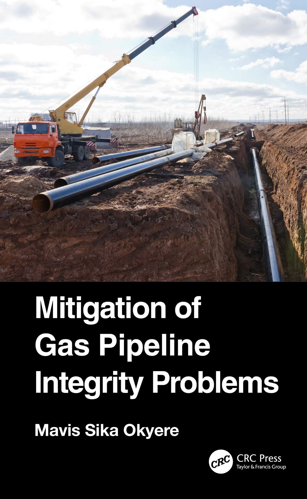 Mitigation of Gas Pipeline Integrity Problems – PDF/EPUB Version Downloadable – Feetlux Store