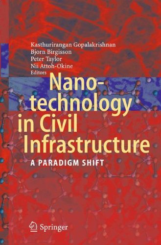 Nanotechnology in Civil Infrastructure: A Paradigm Shift – PDF/EPUB Version Downloadable ...