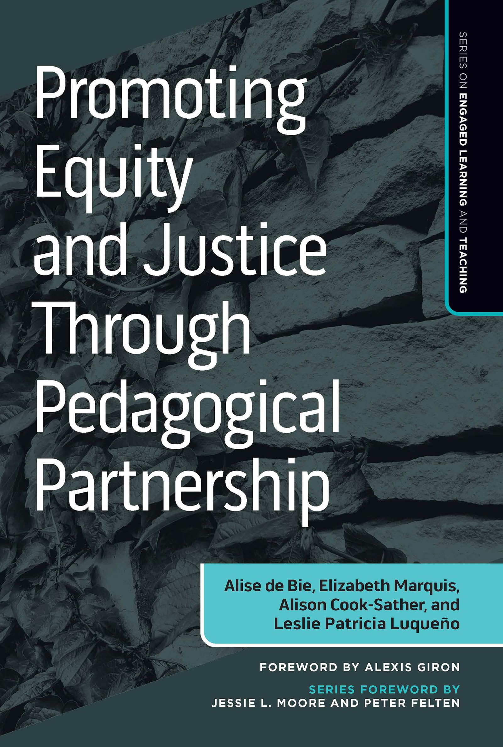 Promoting Equity and Justice Through Pedagogical Partnership (Series on ...