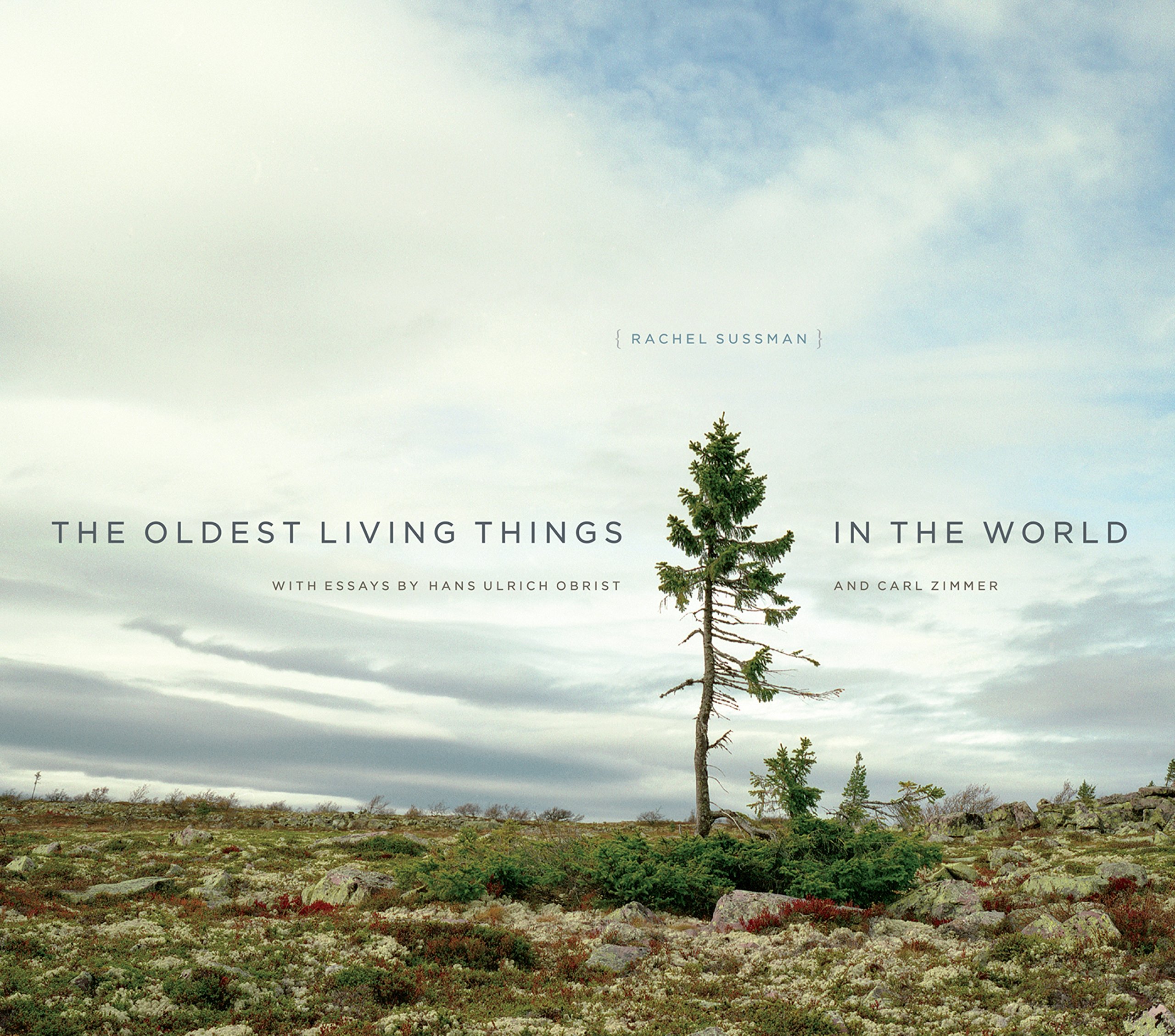 The Oldest Living Things in the World – PDF/EPUB Version Downloadable ...