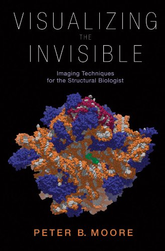 Visualizing the Invisible: Imaging Techniques for the Structural Biologist – PDF/EPUB Version ...