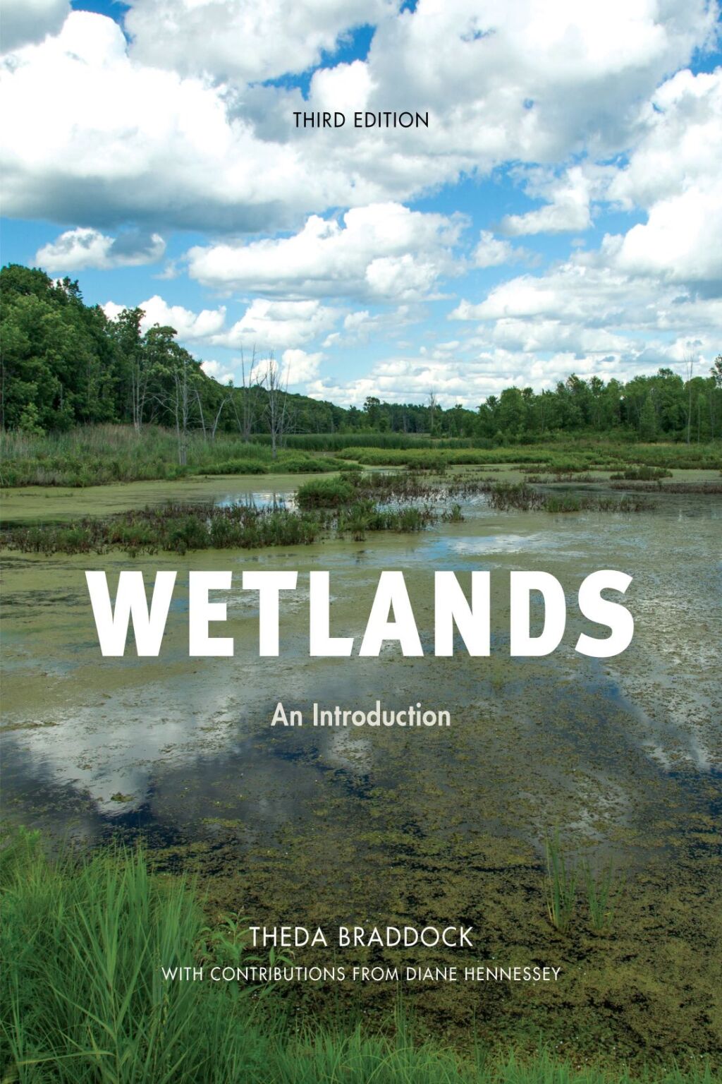 Wetlands An Introduction 3rd Edition â€“ PDF/EPUB Version Downloadable ...