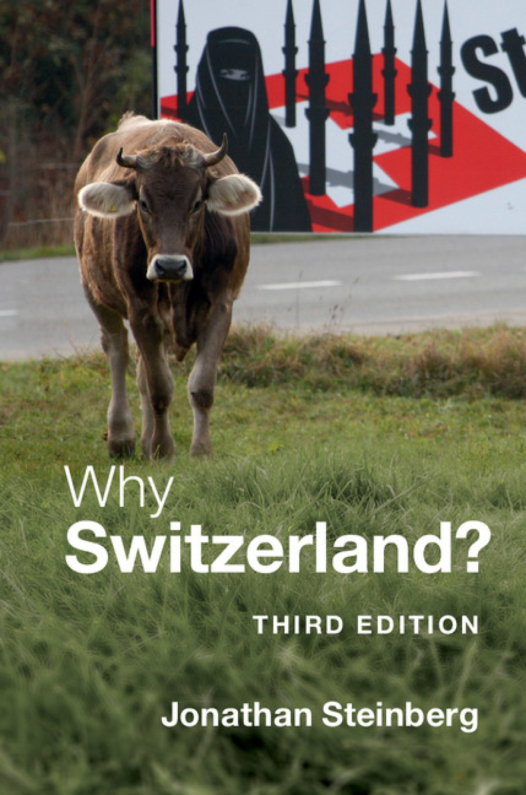 Why Switzerland? 3rd Edition â€“ PDF/EPUB Version Downloadable ...